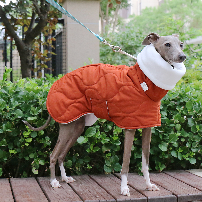 Dog Jacket Padded Coat Belly Protective for Italian Greyhound Whippet ...