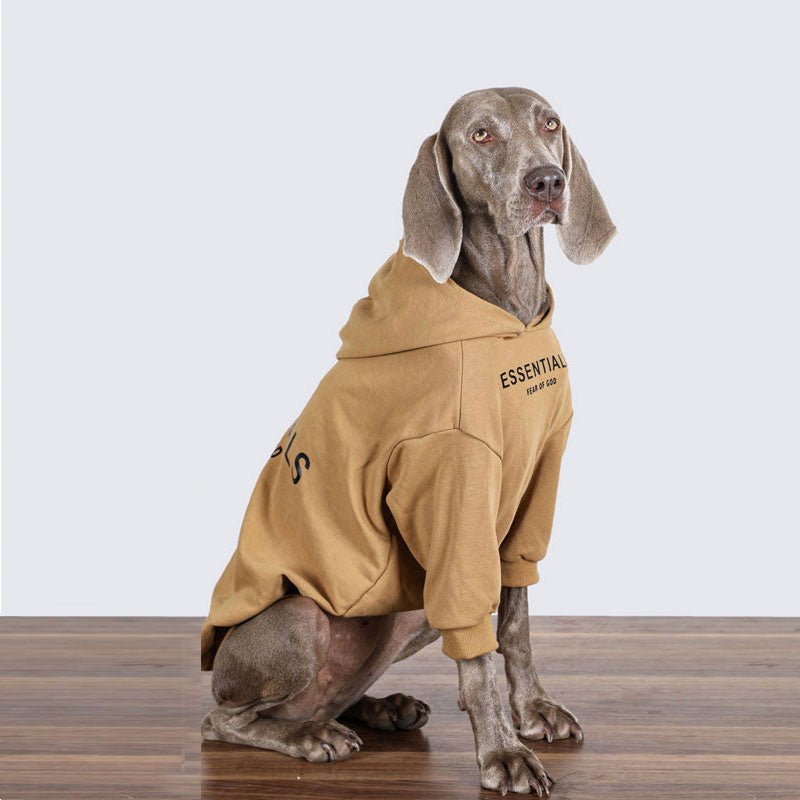 Big Dog Clothing Casual Hoodie | PIKAPIKA