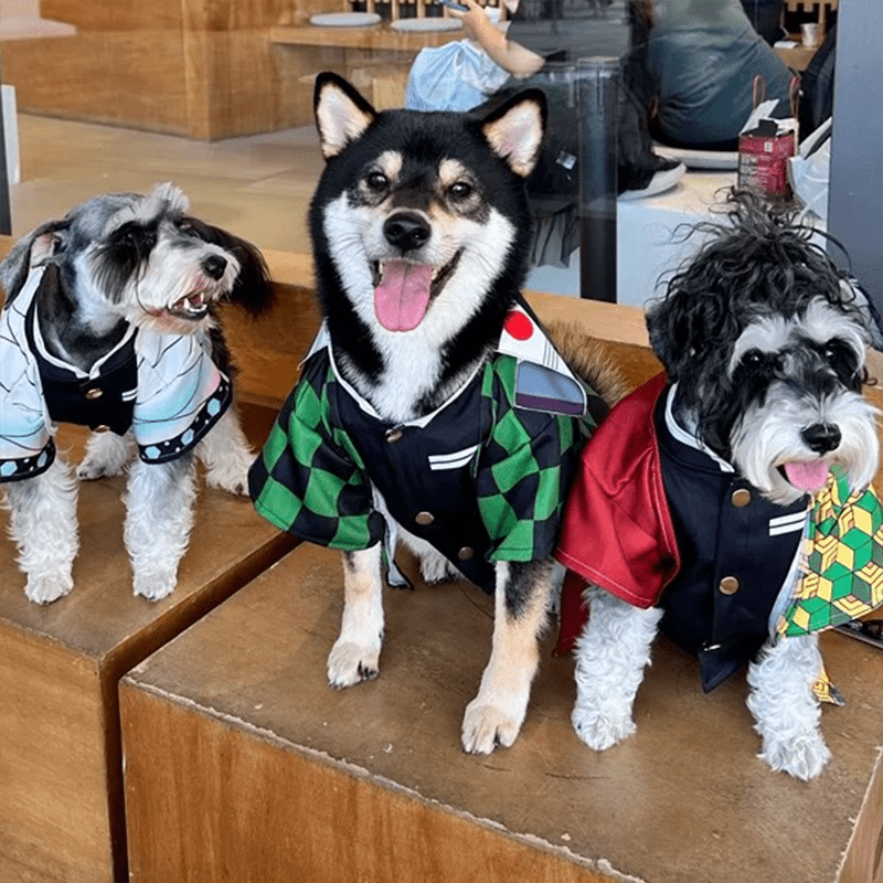 demon-slayer-tanjiro-pet-costumes-outfit-dog-kimono-cloak-8118800 ...