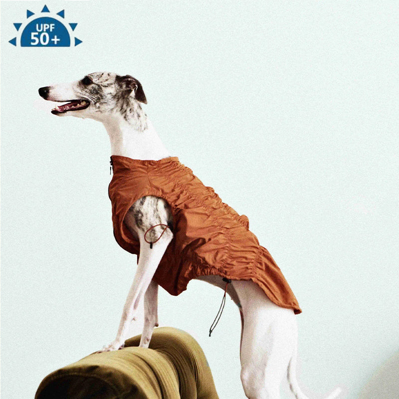 Pet Apparel Boutique Store｜Truly Chic Pet Wardrobe｜PIKAPIKA