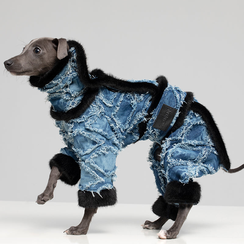 Dog Clothes｜Find the Perfect Outfit for Your Pup｜PIKAPIKA